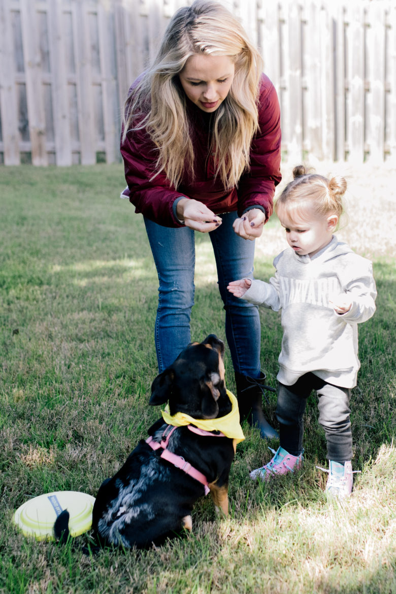 Benefits of Having a Pet | Mom Life | Nashville Wifestyles